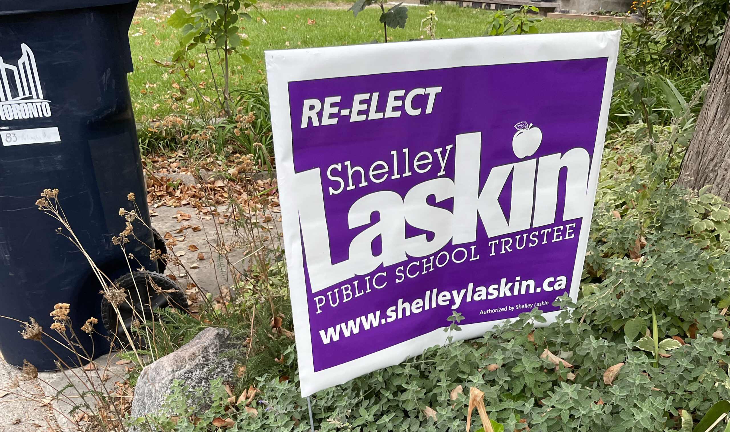 Can You Read the Signs? - On The Record