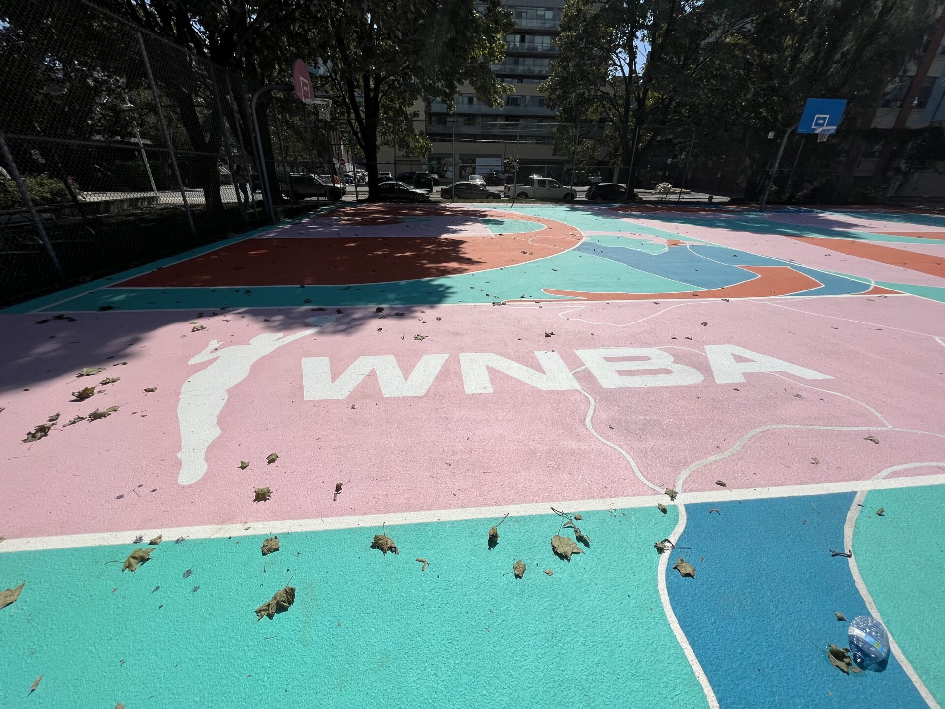 Canada’s First-Ever WNBA-Themed Court is a Stepping Stone for Women’s ...