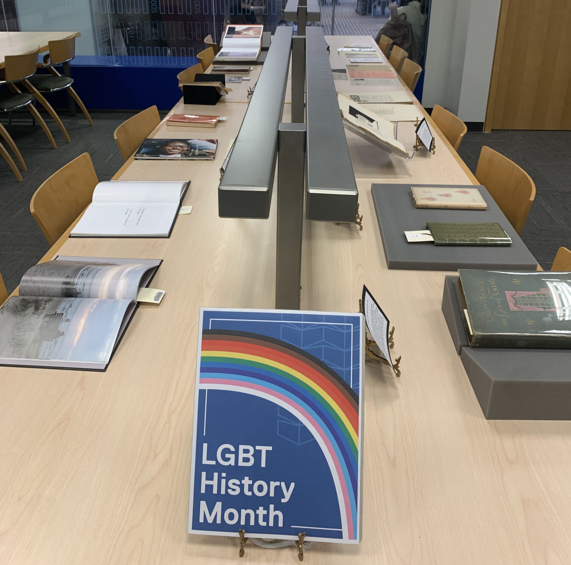 TMU Library Holds First Pink Libraries Tour - On The Record